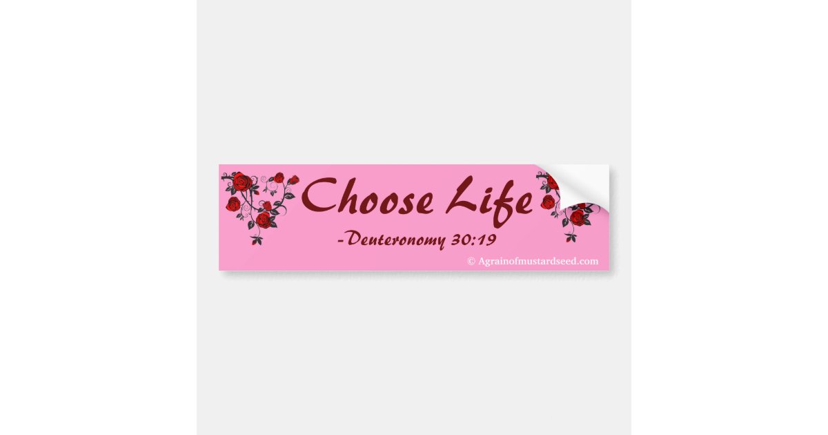 Praise Him N Pink Bible Quote Customize it Bumper Sticker | Zazzle