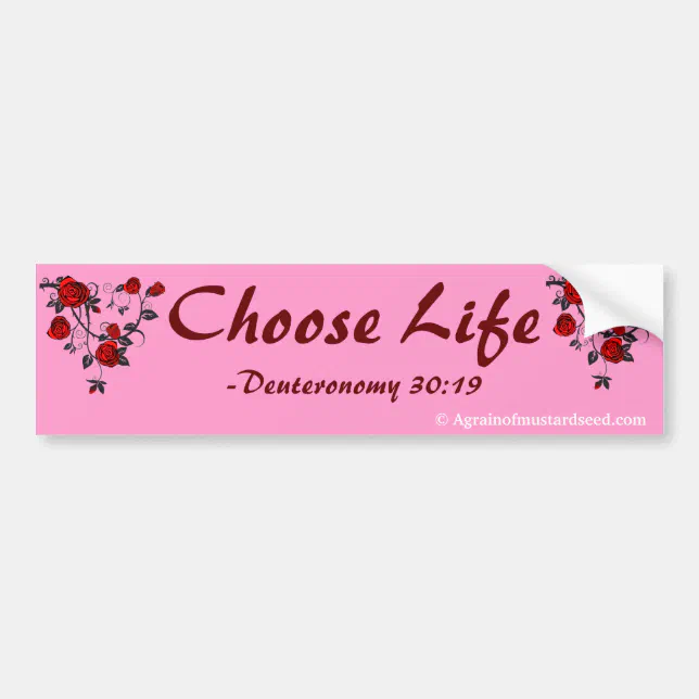 Praise Him N Pink Bible Quote Customize it Bumper Sticker | Zazzle