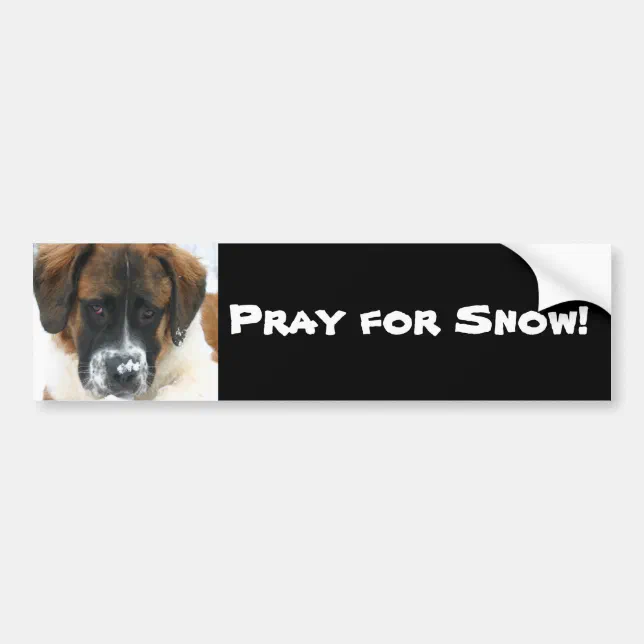 Pray for Snow! Bumper Sticker | Zazzle
