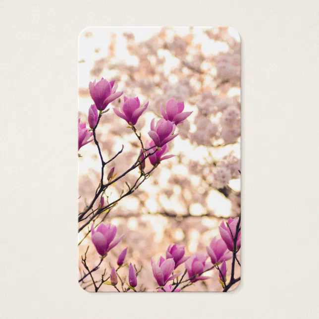 Prayer Cards | Beautiful Magnolia | Zazzle