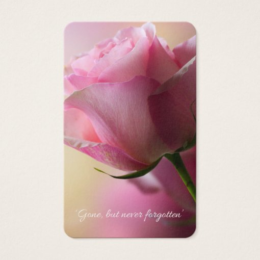 Prayer Cards | Pink Rose 1 | Zazzle