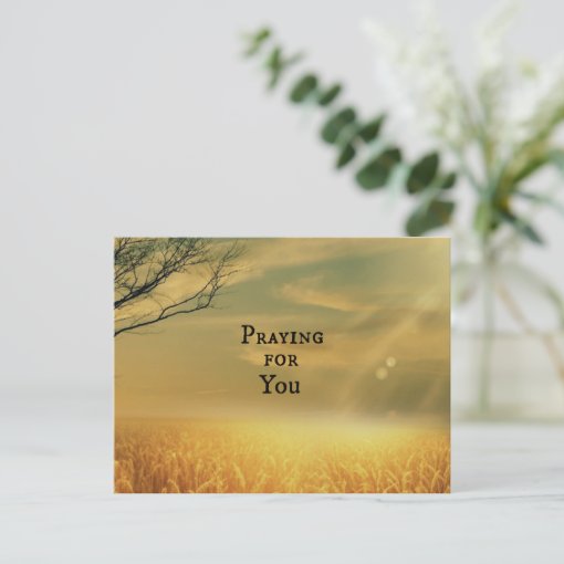 Praying for You Postcard | Zazzle