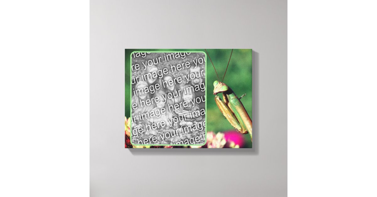 Praying Mantis Create Your Own Photo Canvas Print | Zazzle
