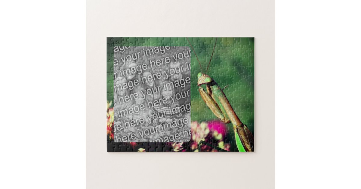Praying Mantis Frame Create Your Own Photo Jigsaw Puzzle | Zazzle