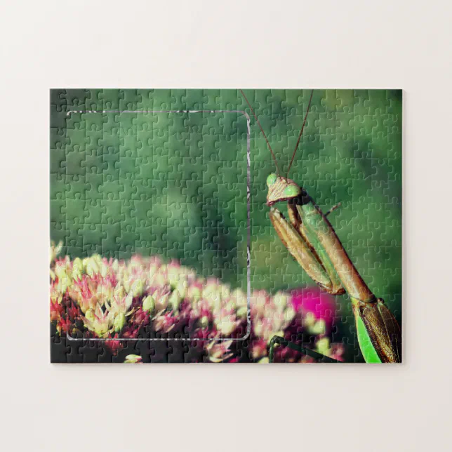 Praying Mantis Frame Create Your Own Photo Jigsaw Puzzle | Zazzle
