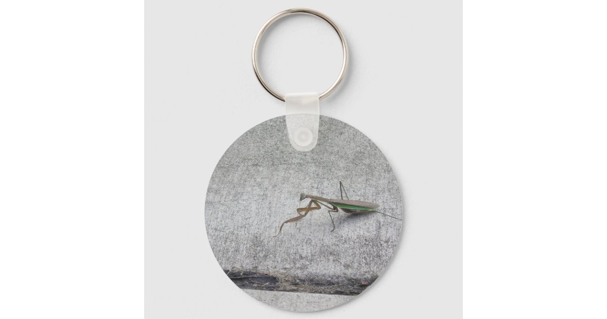 Praying mantis Key chain | Zazzle