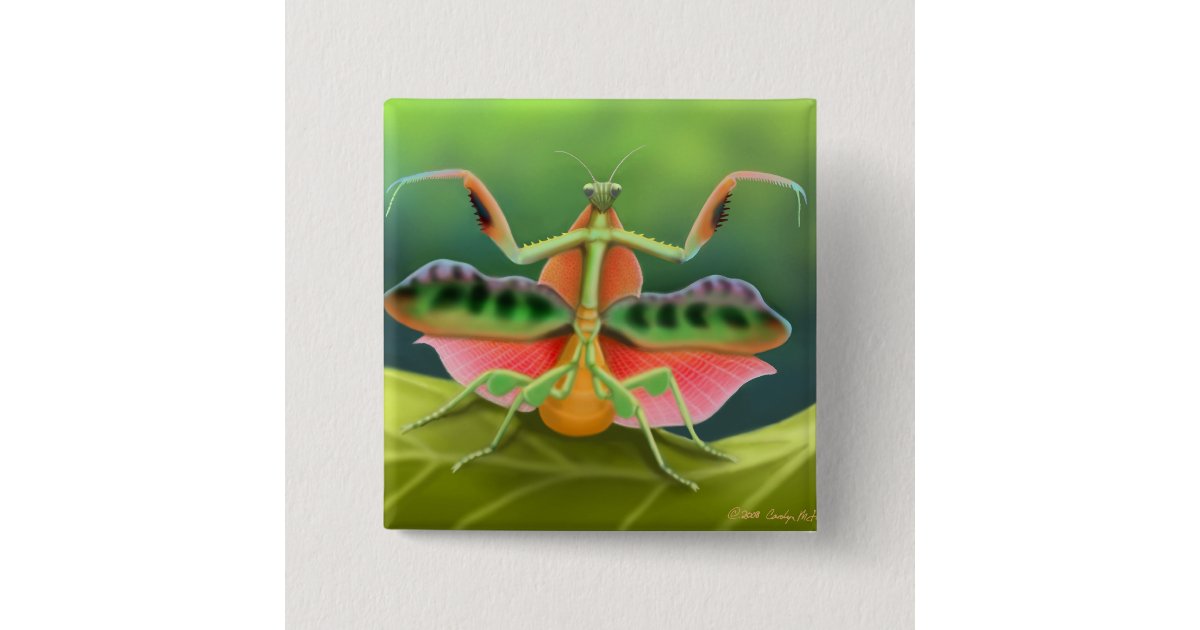 Praying Mantis Pin | Zazzle