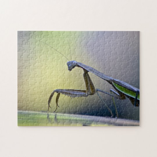Praying Mantis Puzzle | Zazzle.com