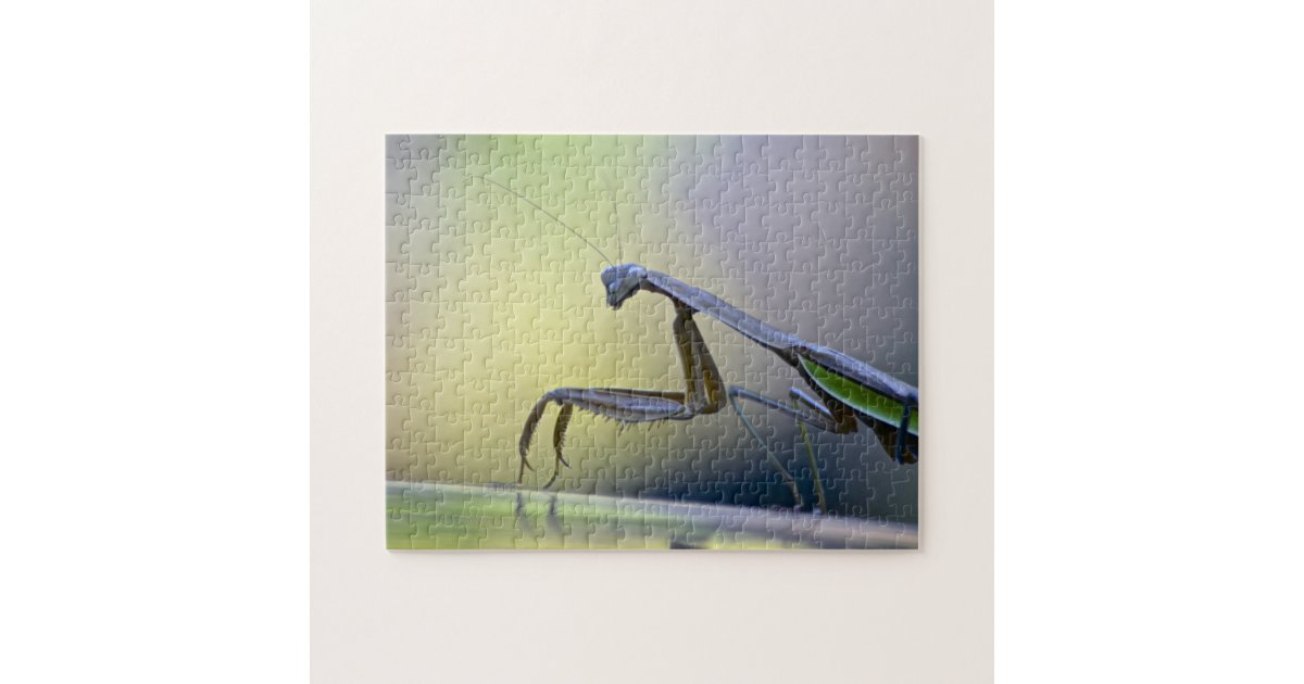 Praying Mantis Puzzle | Zazzle