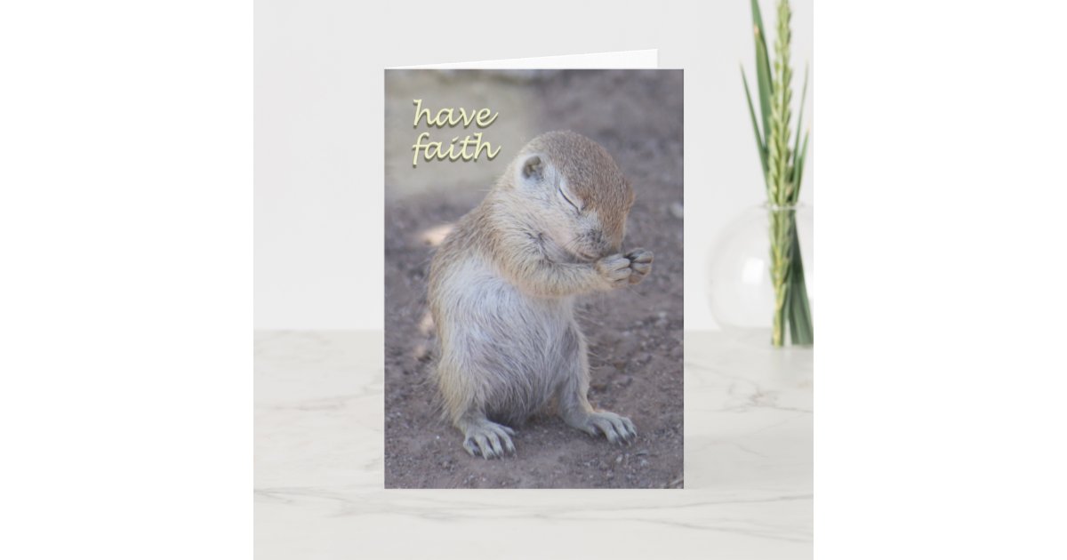 Praying Squirrel Card | Zazzle
