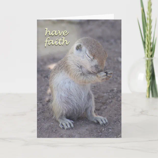 Praying Squirrel Card | Zazzle
