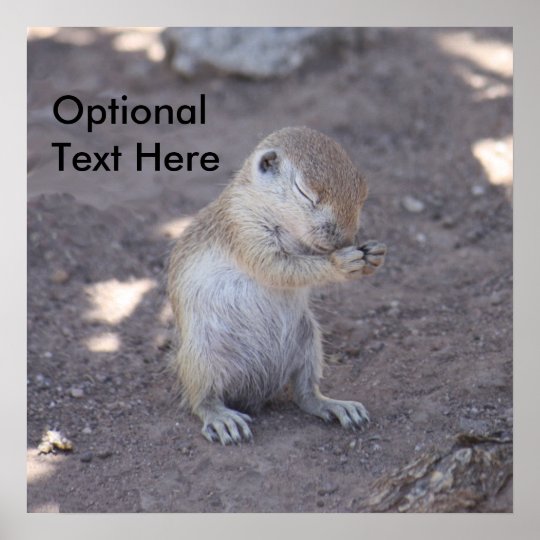 Praying Squirrel Poster Enlargement | Zazzle.com