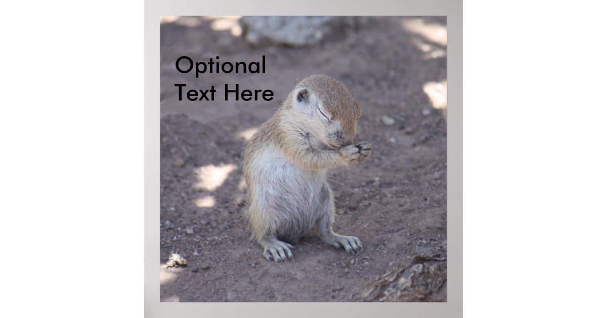 Praying Squirrel Poster Enlargement | Zazzle