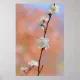 Precious Japanese Apricot Flowers Poster | Zazzle