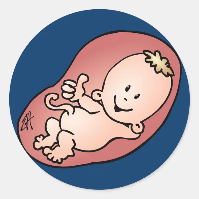 Pregnant - Pregnancy Classic Round Sticker | Zazzle