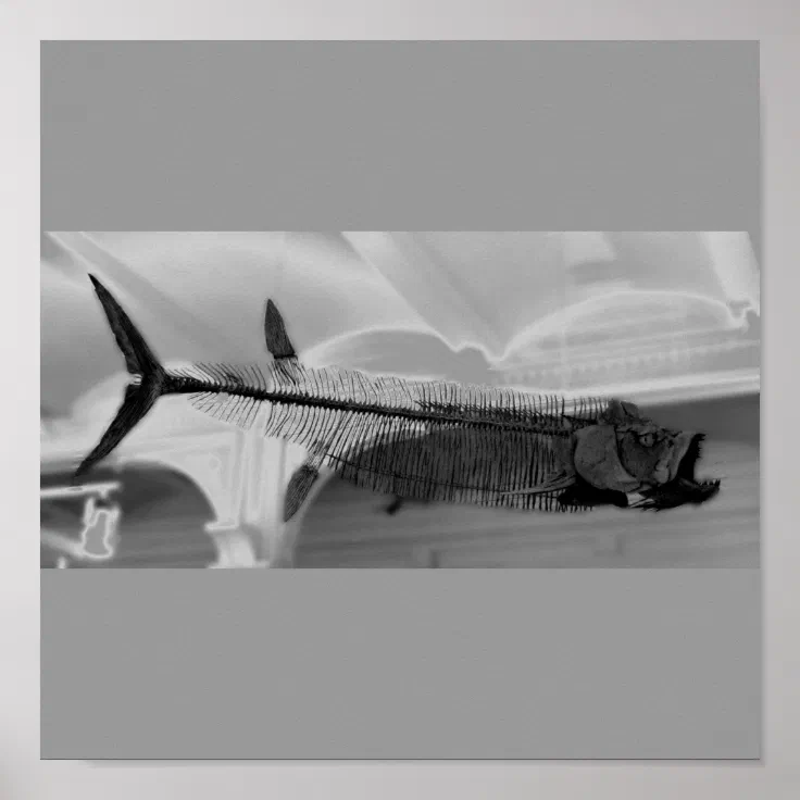 Prehistoric Fish B+W Poster | Zazzle