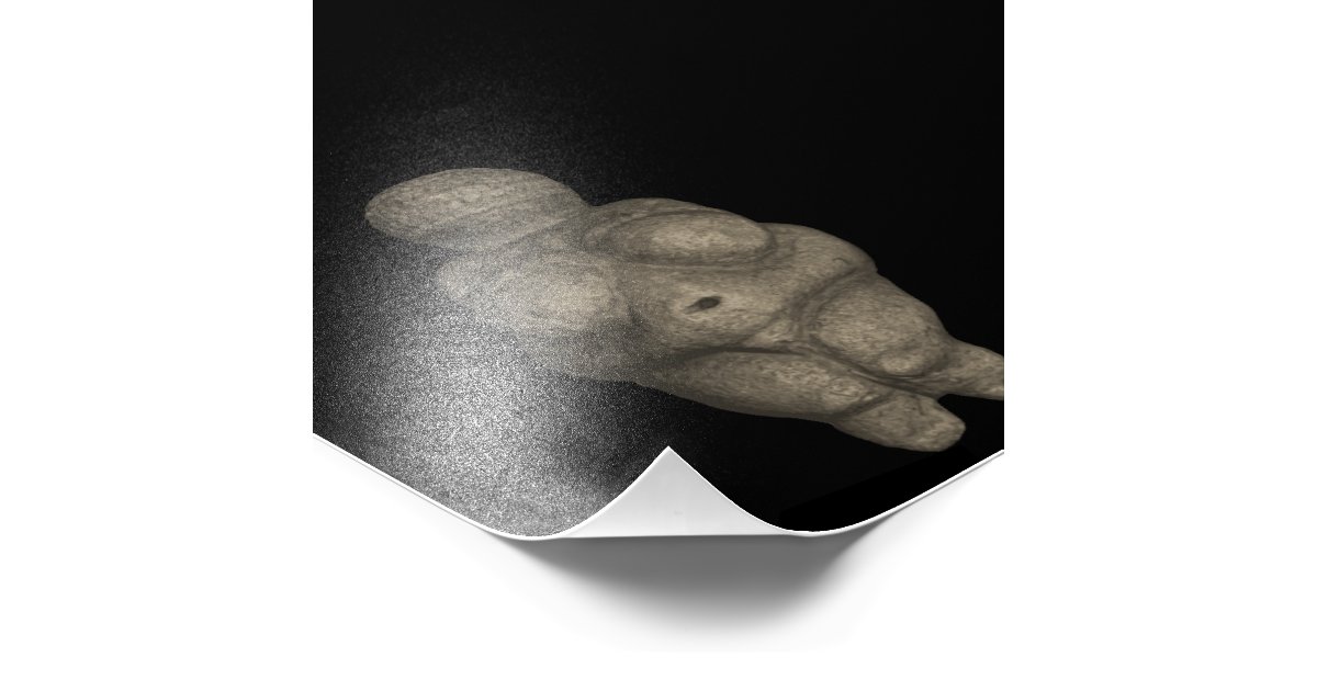 Prehistoric Venus Figurine Photo Print | Zazzle
