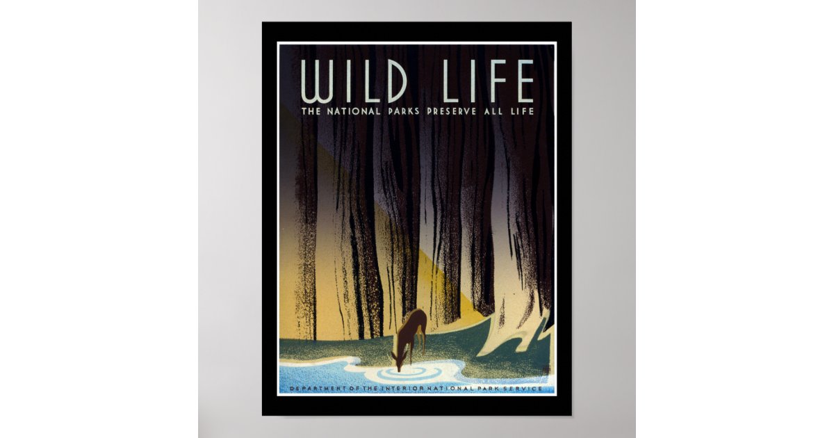 Preserve All Life Poster | Zazzle
