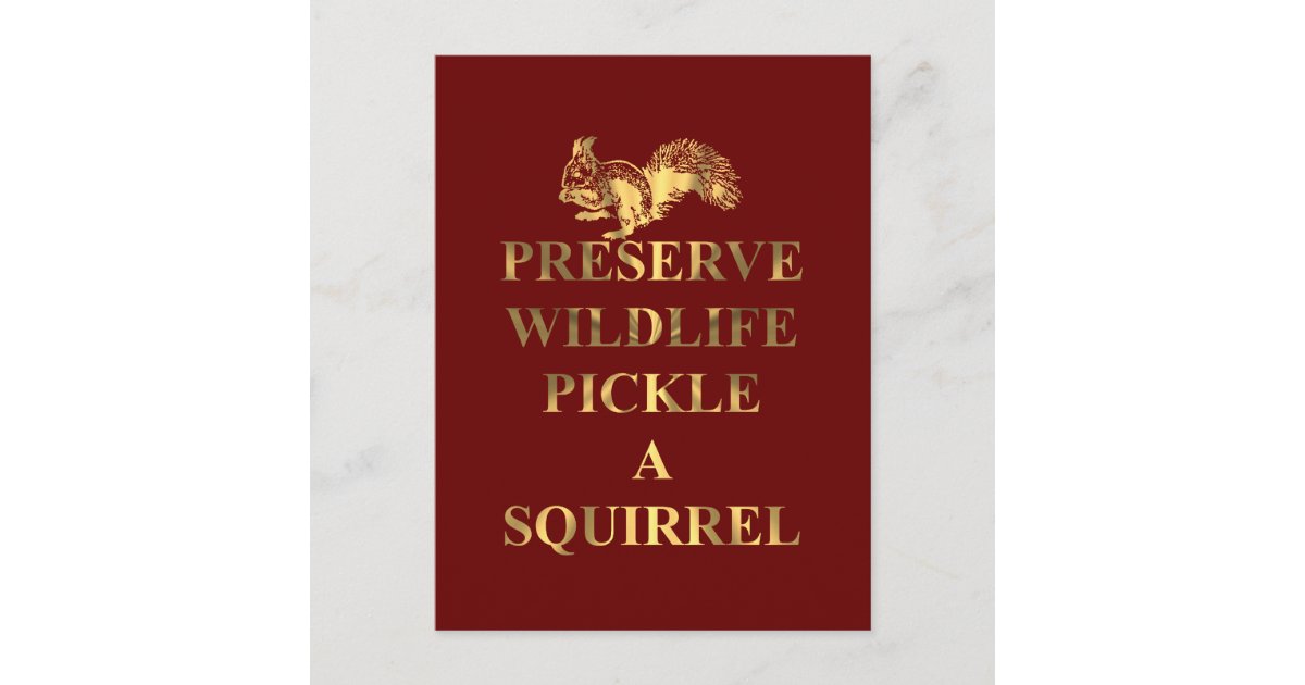 Preserve wildlife pickle a squirrel postcard | Zazzle