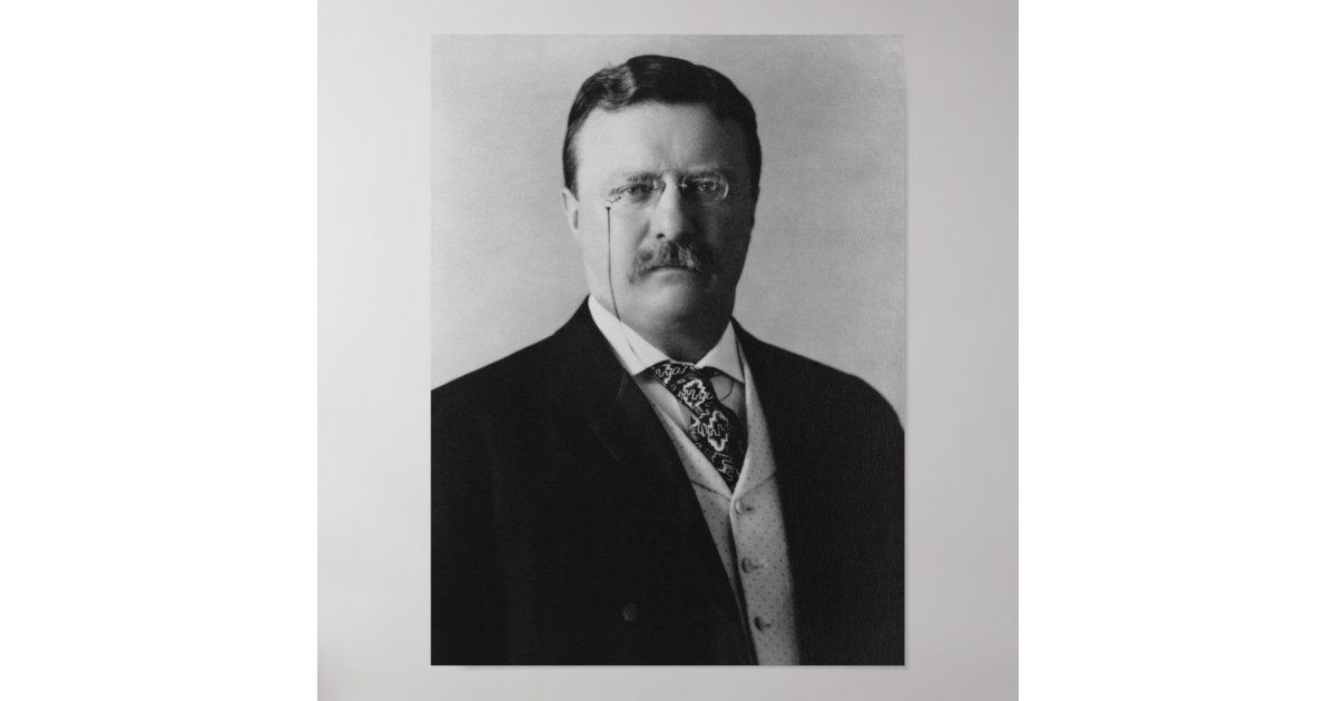 President Theodore Roosevelt - 1904 Poster | Zazzle