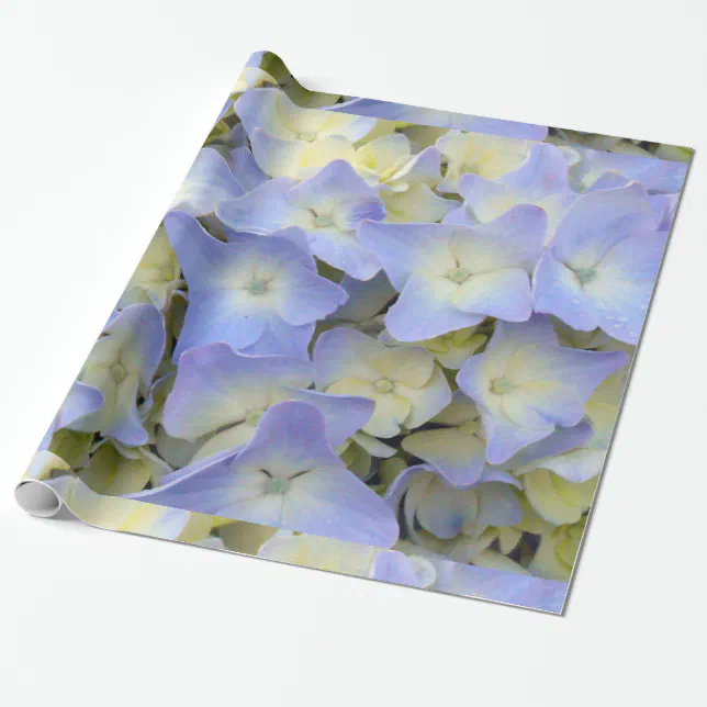 Pretty and Colorful Light Blue Hydrangea Flowers Wrapping Paper | Zazzle