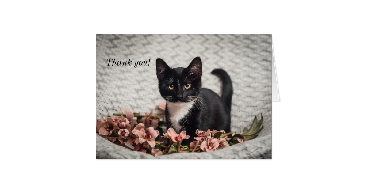 Pretty Bella Rose Thank You Card | Zazzle