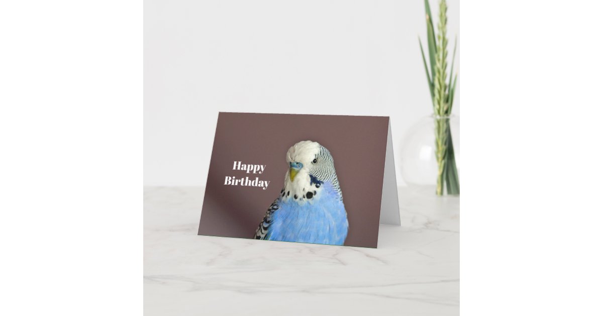 Pretty Blue Parakeet Photo Birthday Card | Zazzle