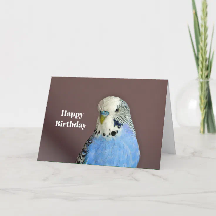 Pretty Blue Parakeet Photo Birthday Card | Zazzle