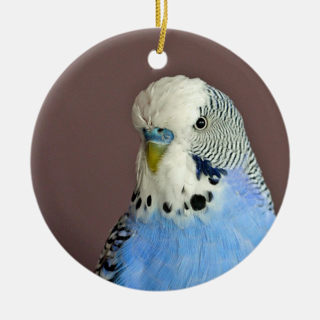 Pretty Blue Parakeet Photo Ceramic Ornament | Zazzle