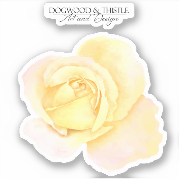 Pretty Blushing Yellow Rose in Watercolor Style Sticker | Zazzle