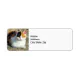 Pretty Calico Cat Photo Label | Zazzle