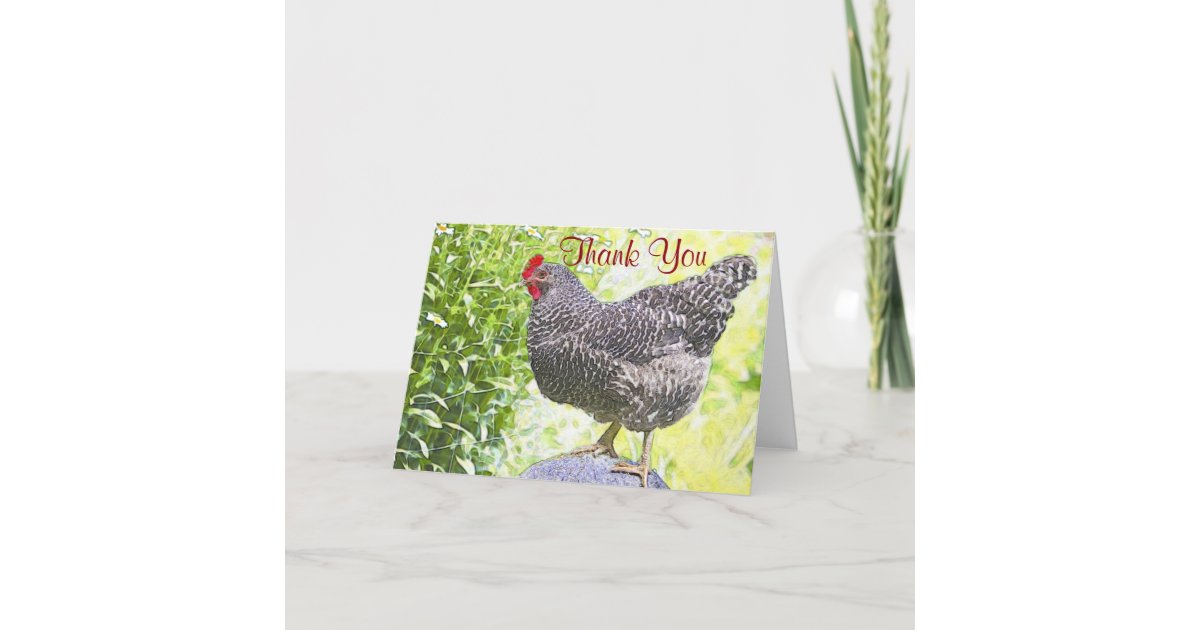 Pretty Chicken Thank You Card | Zazzle