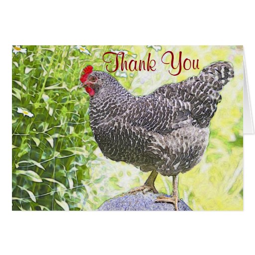 Pretty Chicken Thank You Card | Zazzle