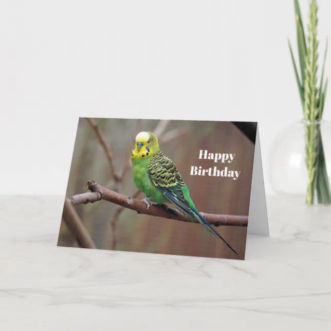 Pretty Green Parakeet Photo Birthday Card | Zazzle