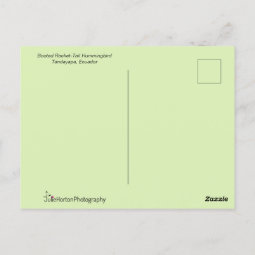 Pretty Hummingbird Landing on a Branch Postcard | Zazzle