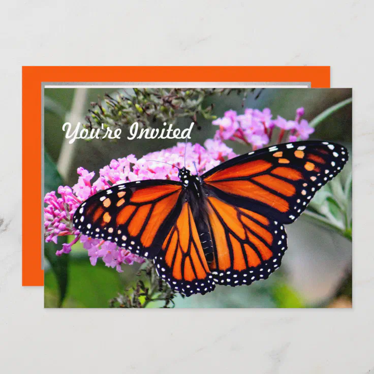 Pretty Monarch Butterfly Photo Birthday Invitation | Zazzle