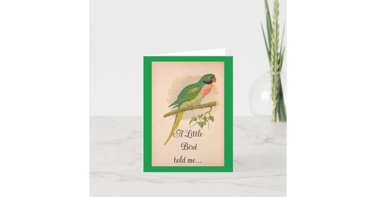 Pretty Parrot Birthday Card | Zazzle