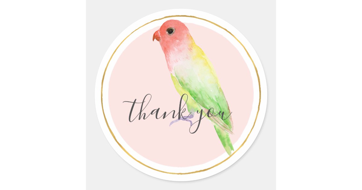 Pretty Parrot Thank you Classic Round Sticker | Zazzle