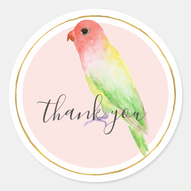 Pretty Parrot Thank you Classic Round Sticker | Zazzle