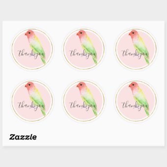 Pretty Parrot Thank you Classic Round Sticker | Zazzle
