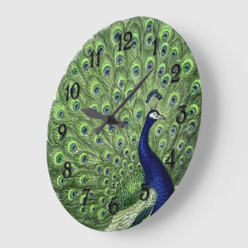 Pretty Peacock Large Clock | Zazzle