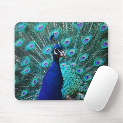 Pretty Peacock Mouse Pad | Zazzle
