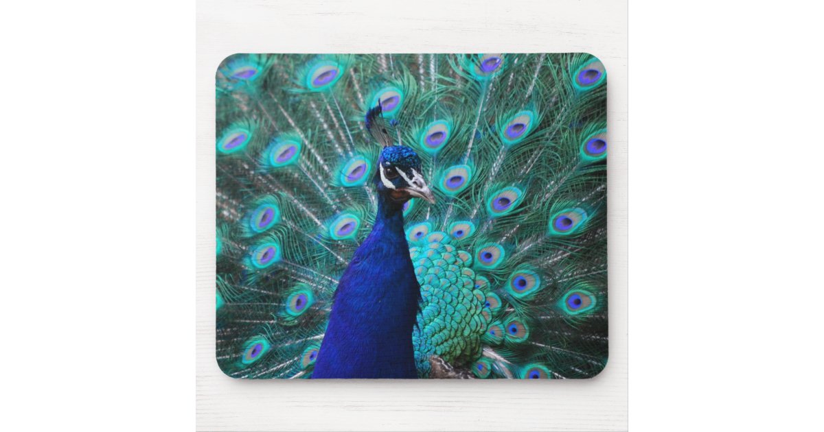 Pretty Peacock Mouse Pad | Zazzle