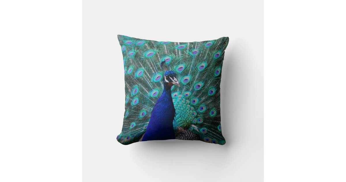 Pretty Peacock Pillow | Zazzle