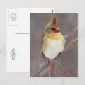 Pretty Pose Postcard | Zazzle