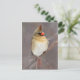 Pretty Pose Postcard | Zazzle