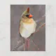 Pretty Pose Postcard | Zazzle