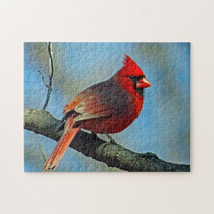 Pretty Red Cardinal Photo Jigsaw Puzzle | Zazzle.com