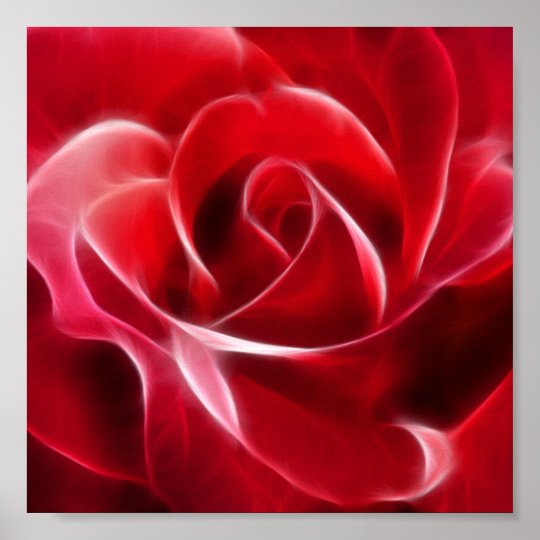 Pretty Red Rose Poster | Zazzle.com