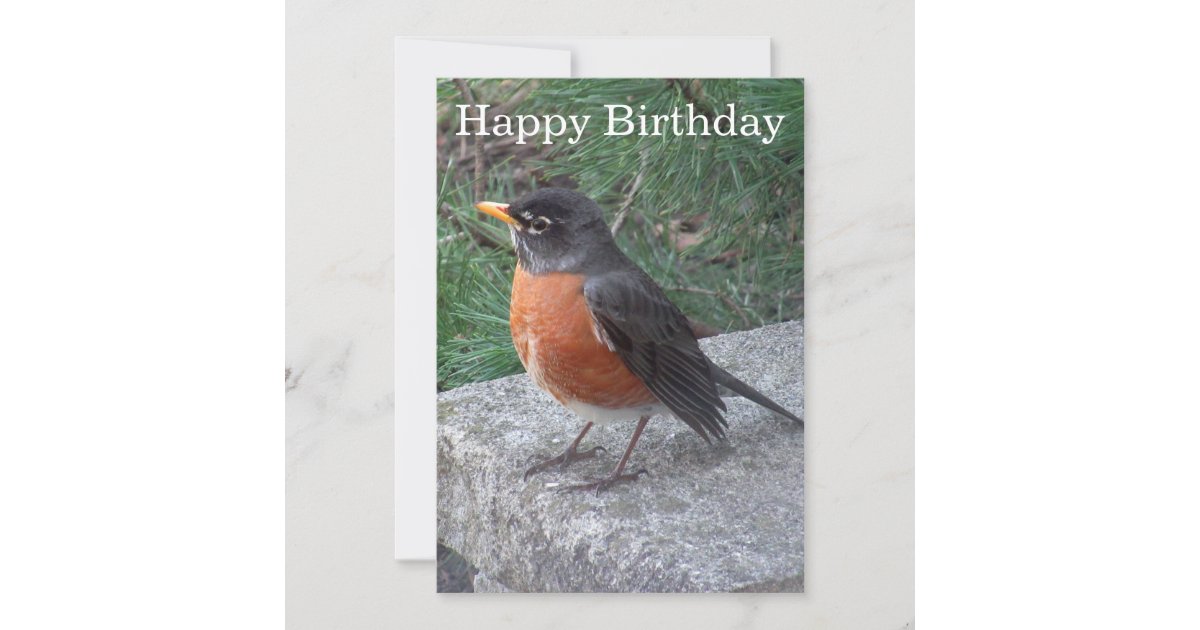 Pretty Robin Photo Birthday Flat Card | Zazzle